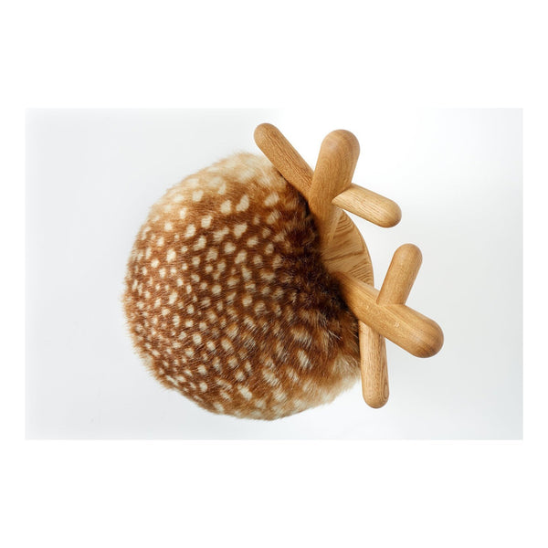 Bambi Chair - Tadpoles and Tiddlers
